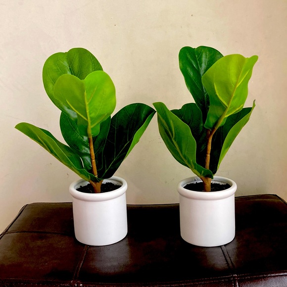 Threshold | Accents | Threshold Tabletop Arrangement | Poshmark